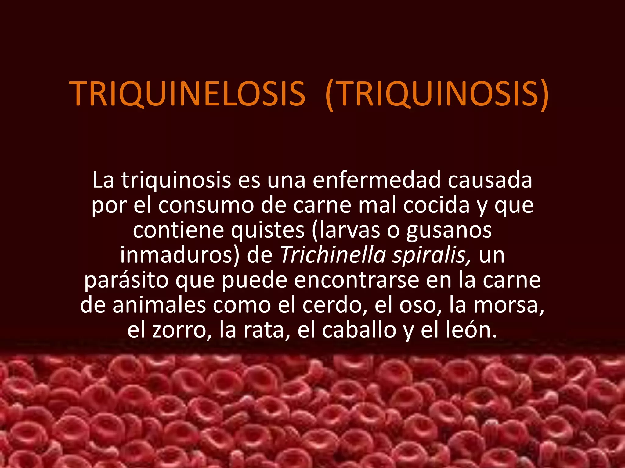 Triquinelosis (triquinosis) | PPT