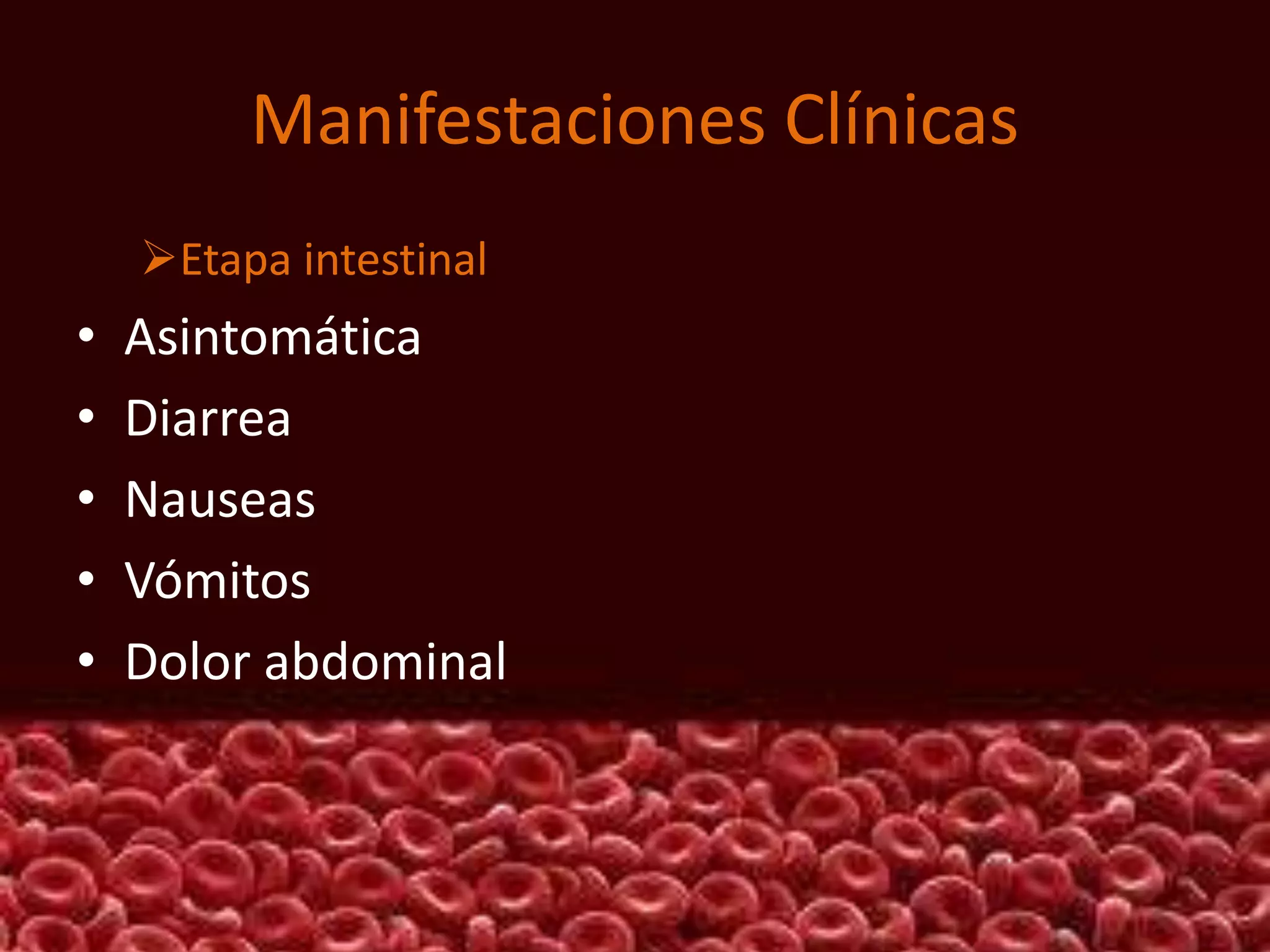 Triquinelosis (triquinosis) | PPTX