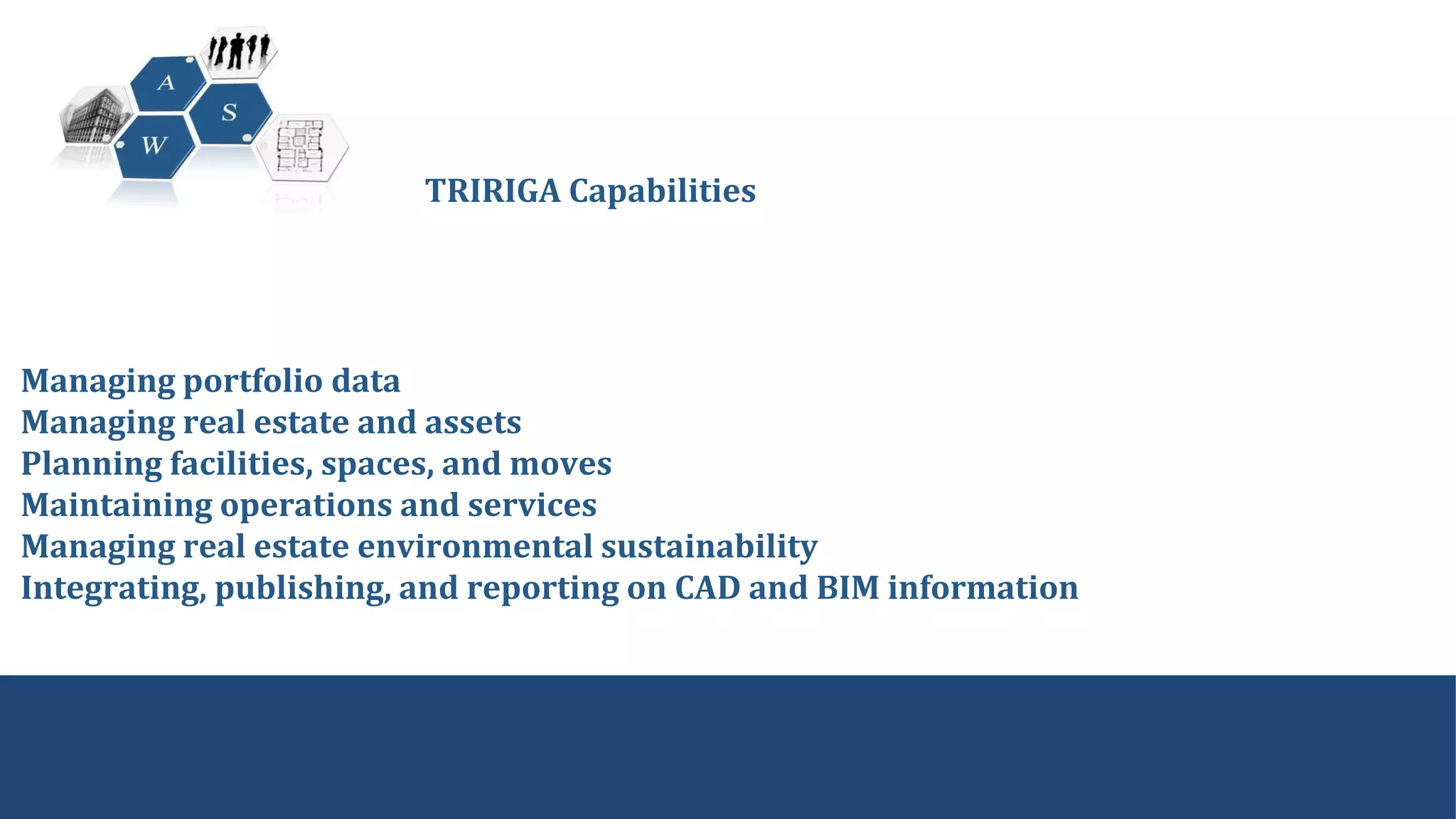Tririga.pptx | Business | Business and Finance