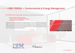 Tririga Detailed Presentation | PDF