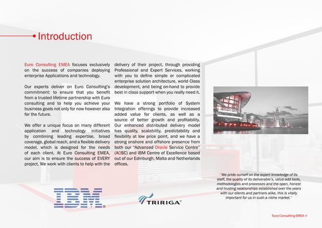 Tririga Detailed Presentation | PDF