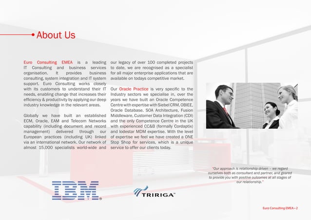 Tririga Detailed Presentation | PDF