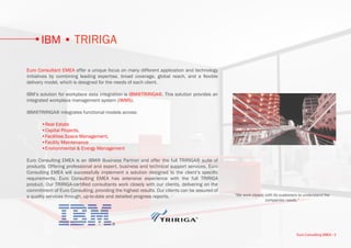 Tririga Detailed Presentation | PDF
