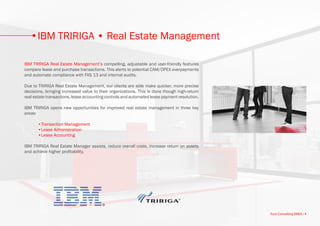 Tririga Detailed Presentation | PDF