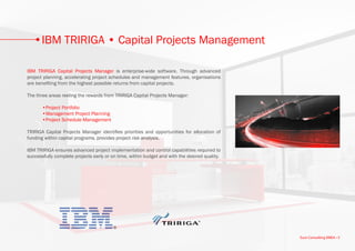 Tririga Detailed Presentation | PDF