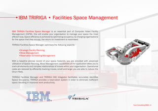 Tririga Detailed Presentation | PDF