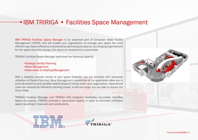 Tririga Detailed Presentation | PDF