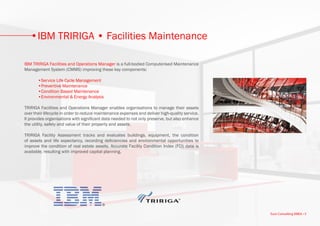 Tririga Detailed Presentation | PDF