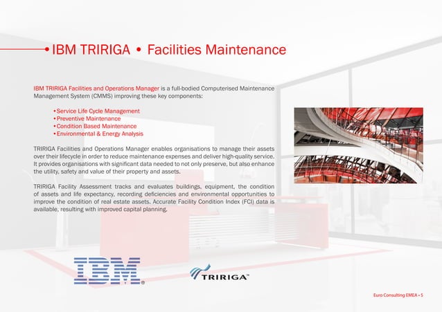 Tririga Detailed Presentation | PDF