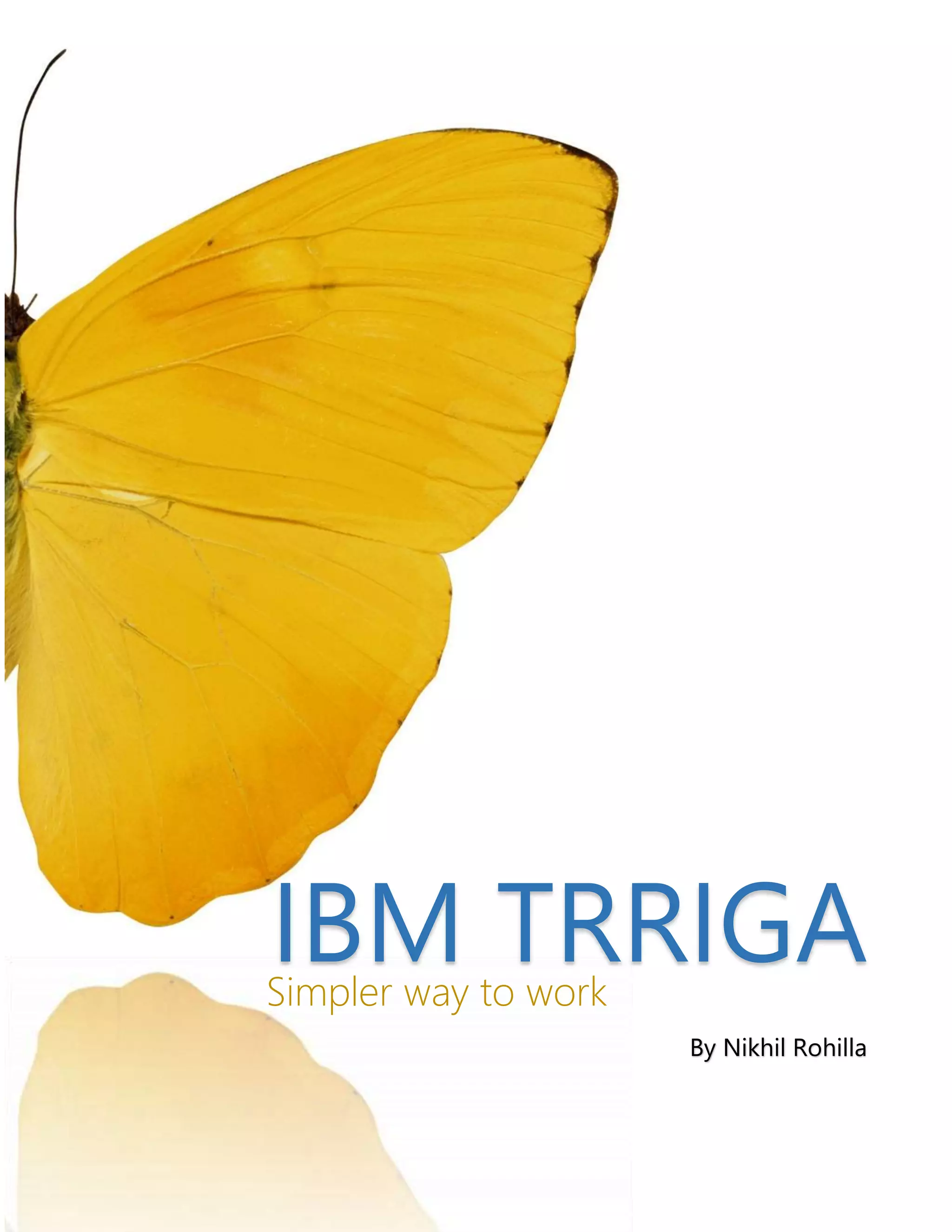 Tririga Deployment / Installation Step by Step Guide | DOCX