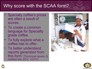 Trish Rothgelb: Q/SCAA Cupping form and Calibration nrf2013 | PPT