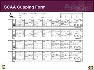 Trish Rothgelb: Q/SCAA Cupping form and Calibration nrf2013 | PPT