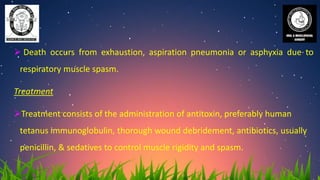 Differential Diagnosis of Trismus | PPTX
