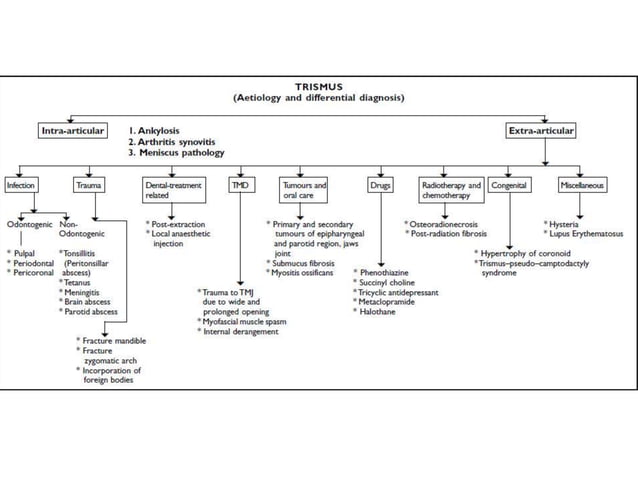 Trismus | PPTX | Dental Health | Diseases and Conditions