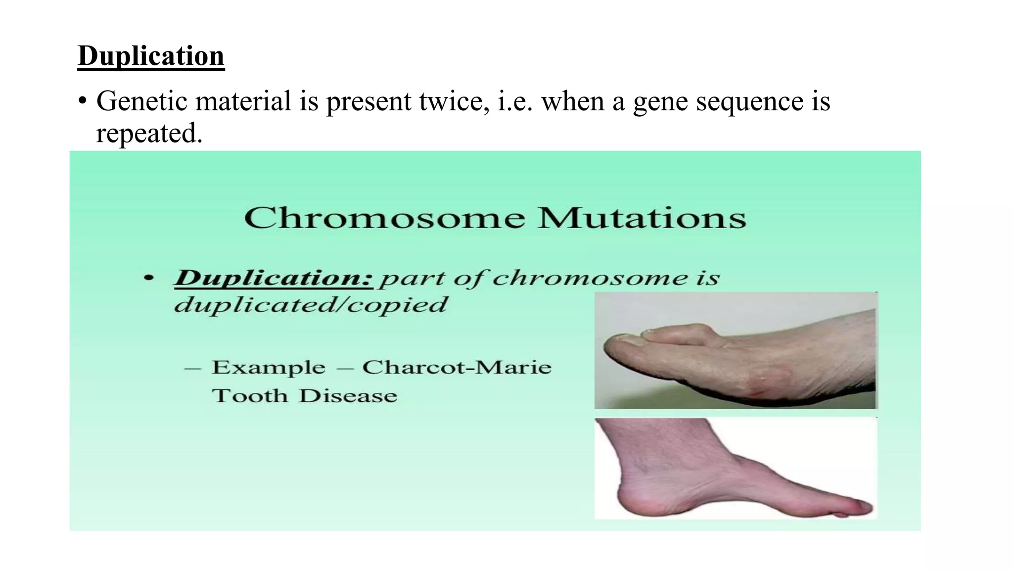 Trisomy 21 and other chromosomal abnormalities | PPTX | Infertility ...