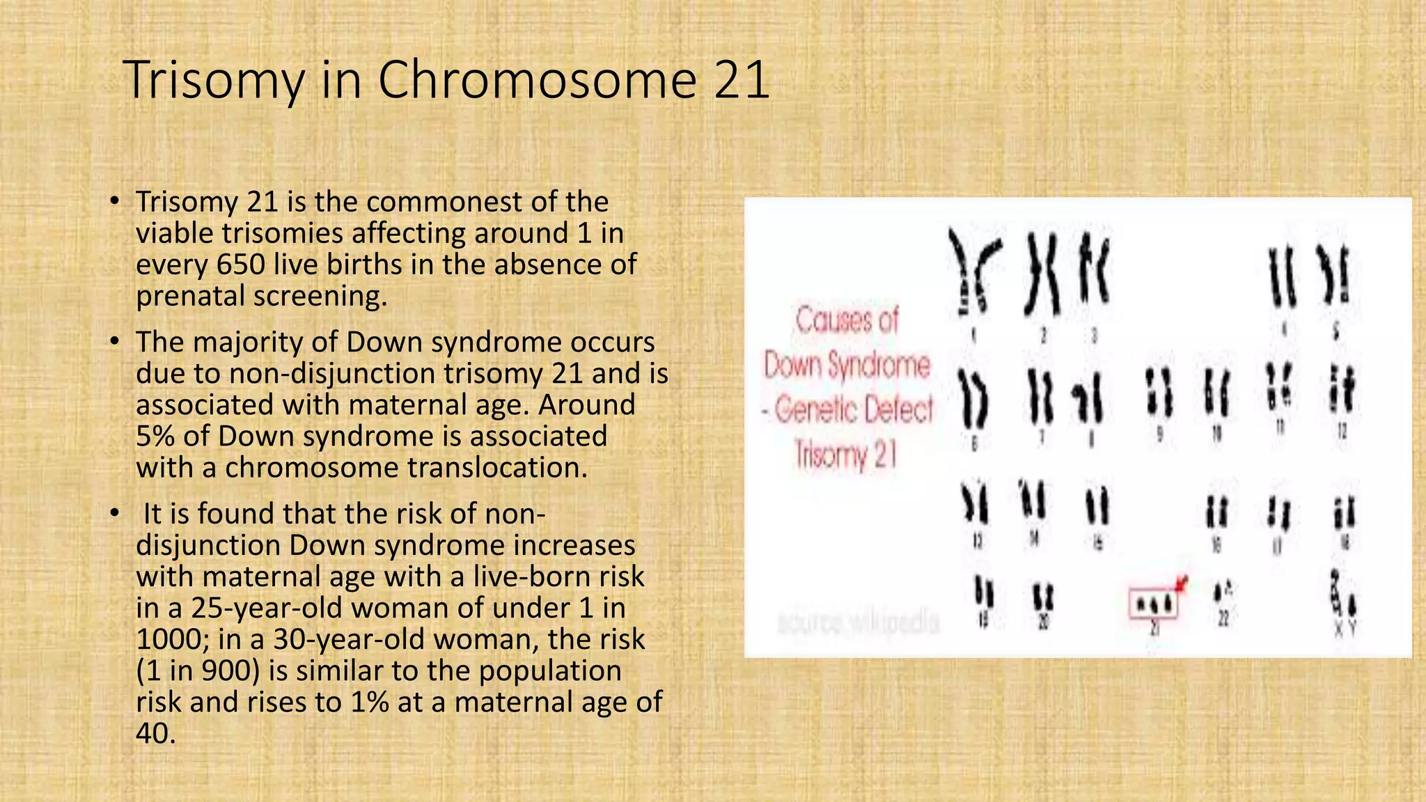 Trisomy in chromosomes and Down Syndrome | PPT