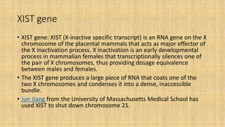 Trisomy in chromosomes and Down Syndrome | PPT