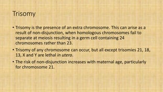 Trisomy in chromosomes and Down Syndrome | PPT