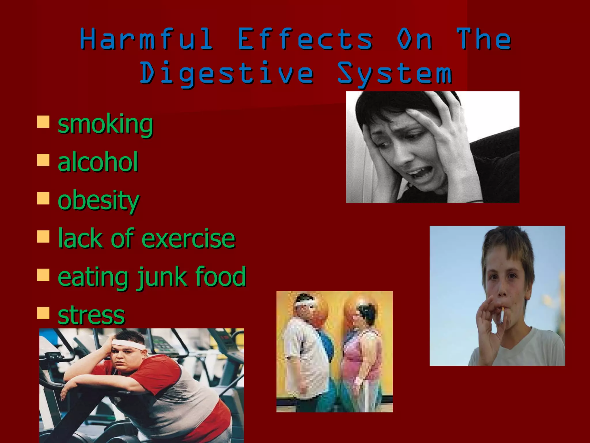Tristan reaburn jones the digestive system slide show | PPT