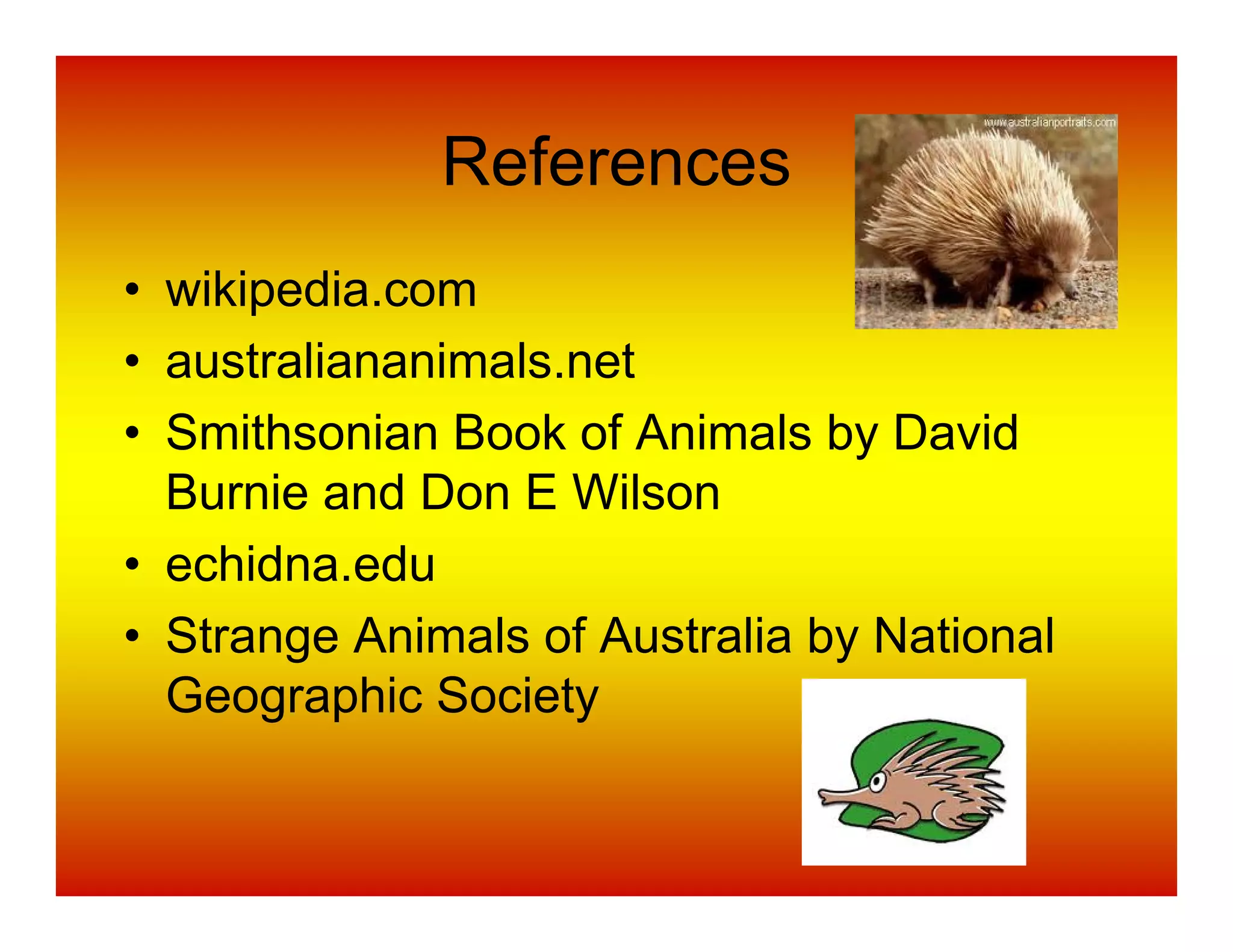 Tristan the echidna | PDF