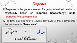 Triterpene
