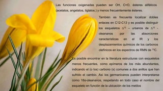 TRITERPENOS Y TETRATERPENOS.pptx