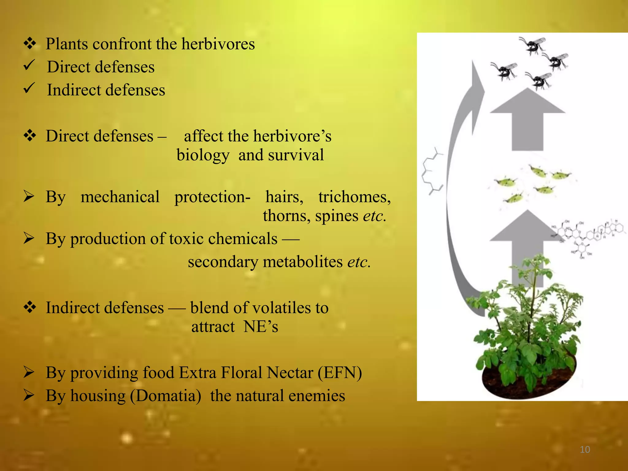 TRITROPHIC INTERACTIONS IN INSECT PESTS OF RICE | PPTX