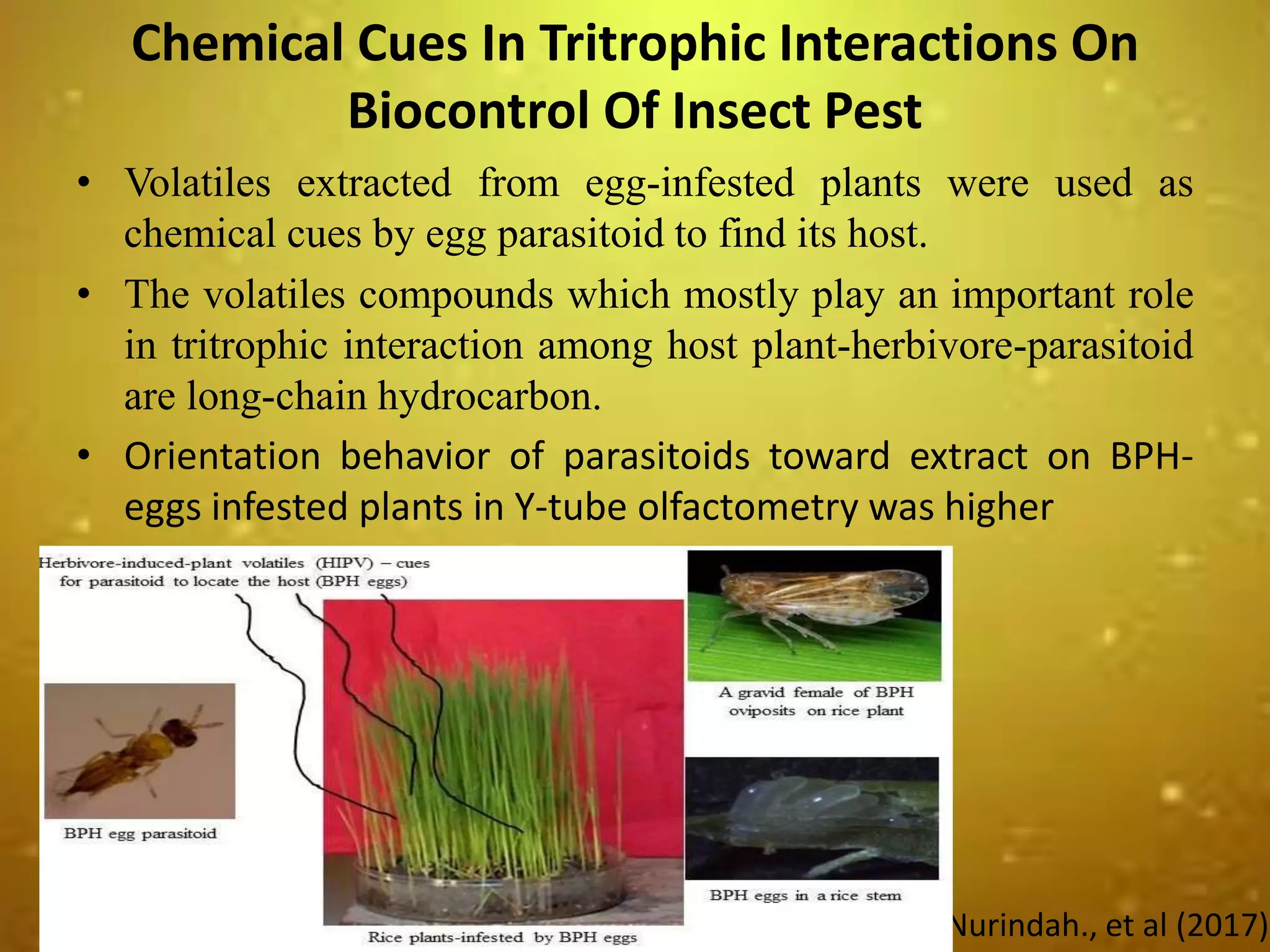 TRITROPHIC INTERACTIONS IN INSECT PESTS OF RICE | PPTX