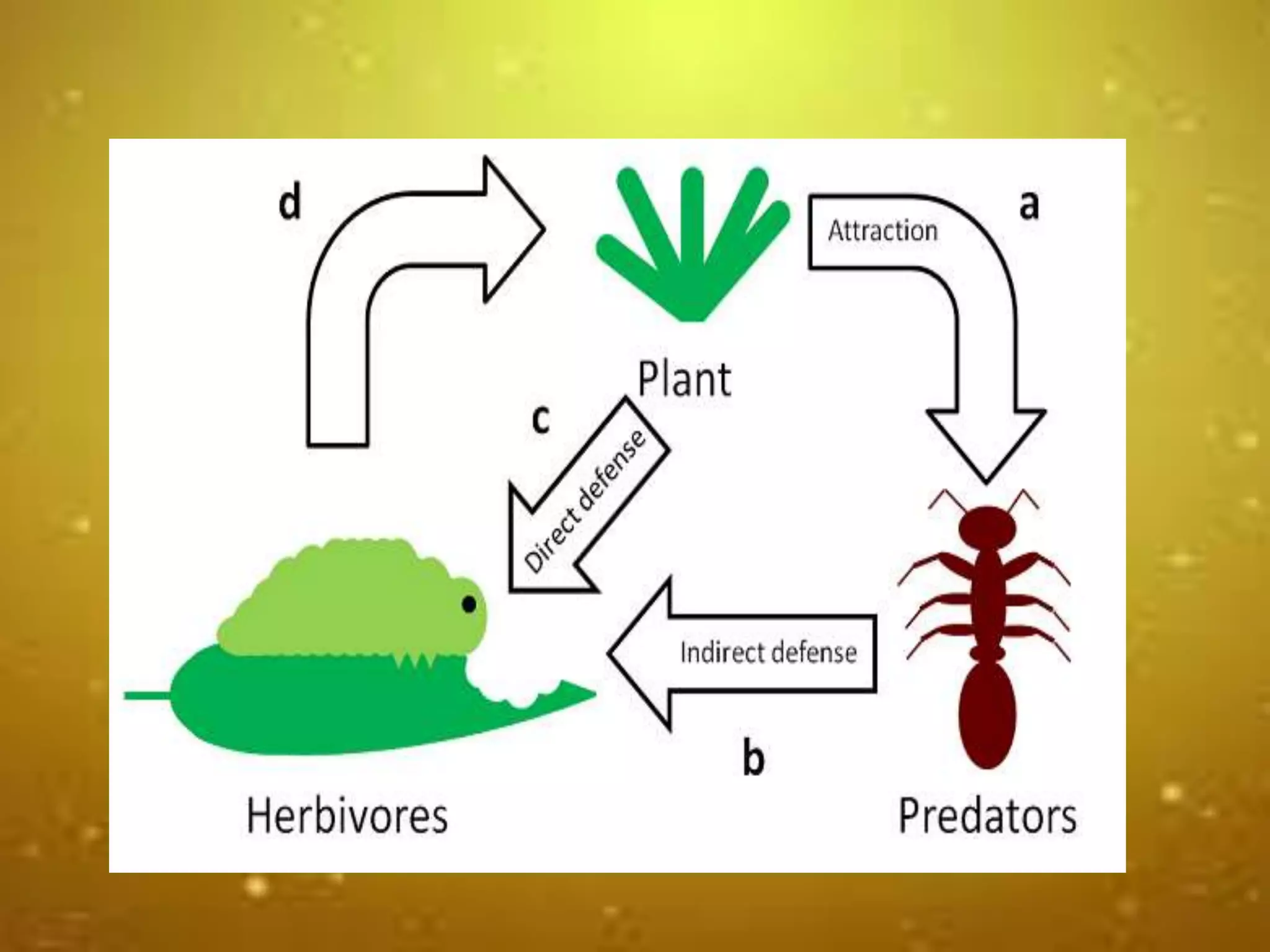 TRITROPHIC INTERACTIONS IN INSECT PESTS OF RICE | PPTX