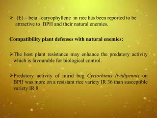 TRITROPHIC INTERACTIONS IN INSECT PESTS OF RICE | PPTX