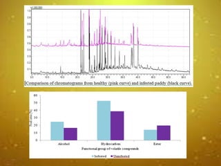 TRITROPHIC INTERACTIONS IN INSECT PESTS OF RICE | PPTX