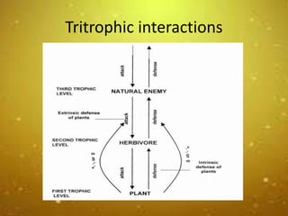 TRITROPHIC INTERACTIONS IN INSECT PESTS OF RICE | PPTX