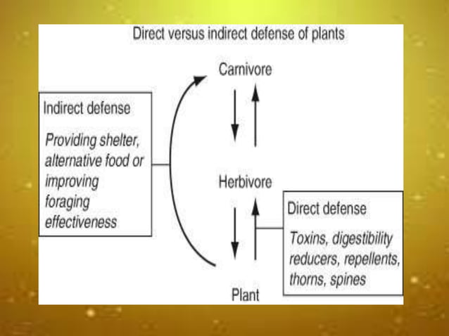 TRITROPHIC INTERACTIONS IN INSECT PESTS OF RICE | PPTX | Gardening ...