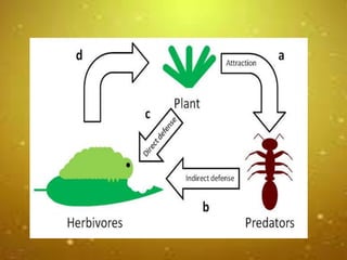 TRITROPHIC INTERACTIONS IN INSECT PESTS OF RICE | PPTX