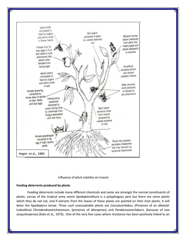 Tritrophic relationships | DOCX | Gardening | Home & Garden