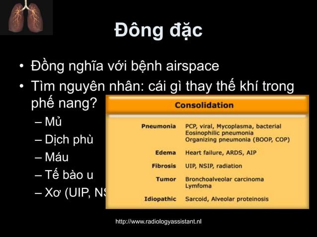 Triệu chứng trên chụp clvt phổi độ phân giải cao (hrct) | PPT
