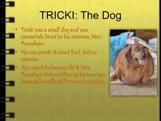 Triumph of surgery.pptx