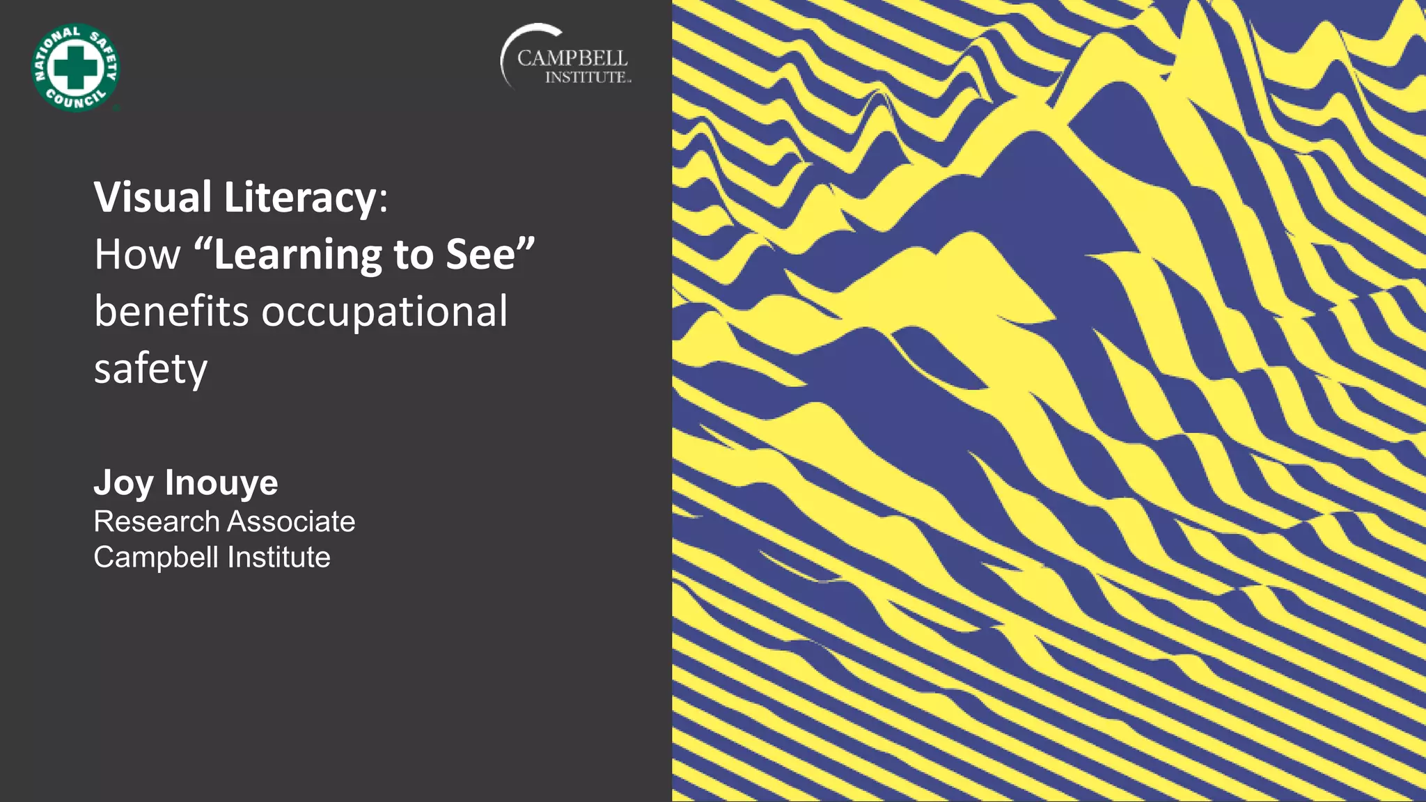 Visual Literacy: How "Learning to See" Benefits Occupational Safety | PDF