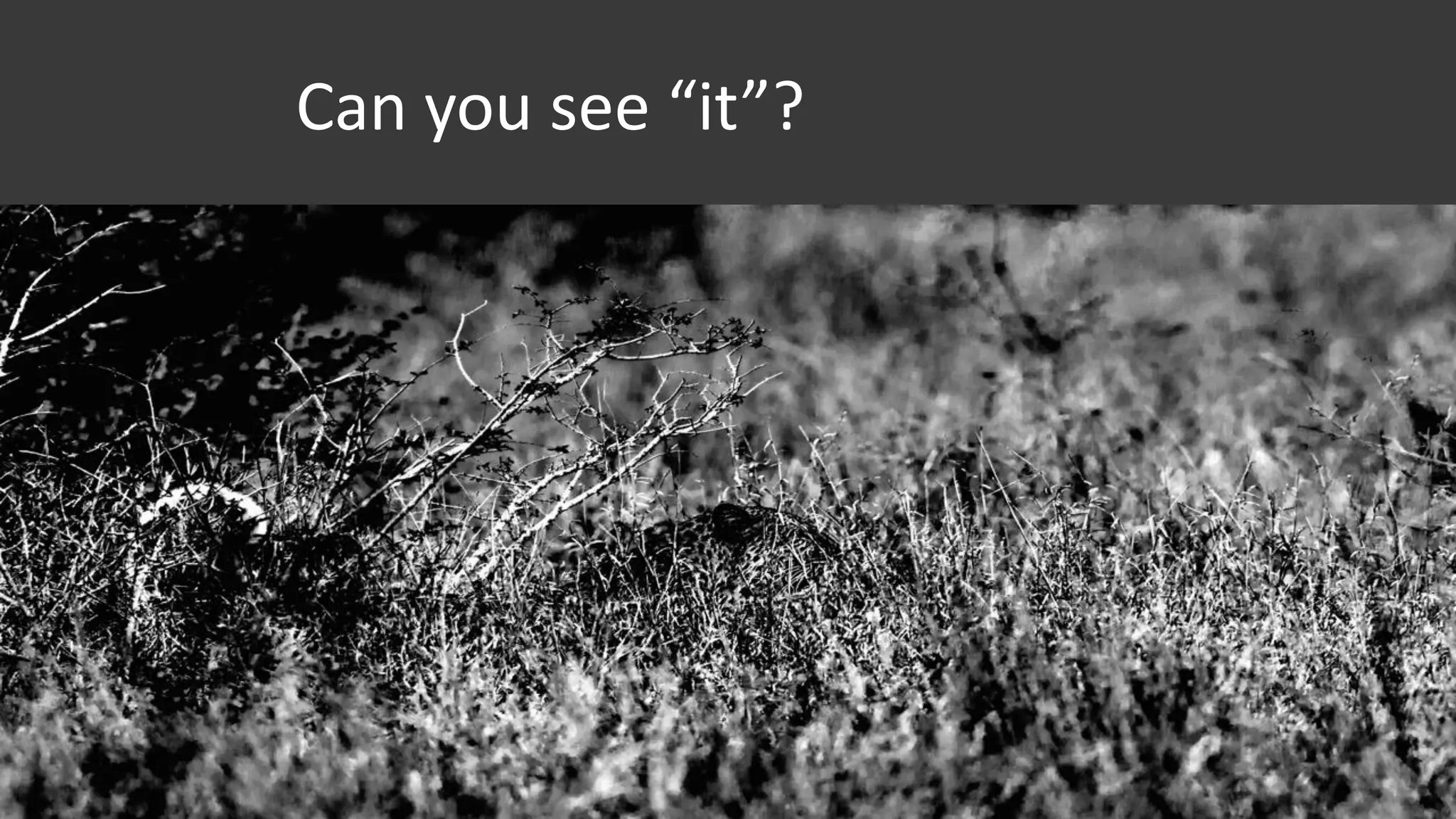 Visual Literacy: How "Learning to See" Benefits Occupational Safety | PDF