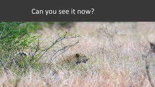 Visual Literacy: How "Learning to See" Benefits Occupational Safety | PDF