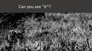 Visual Literacy: How "Learning to See" Benefits Occupational Safety | PDF