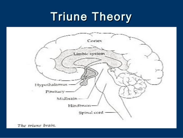 Triune Brain by Douglas Noll