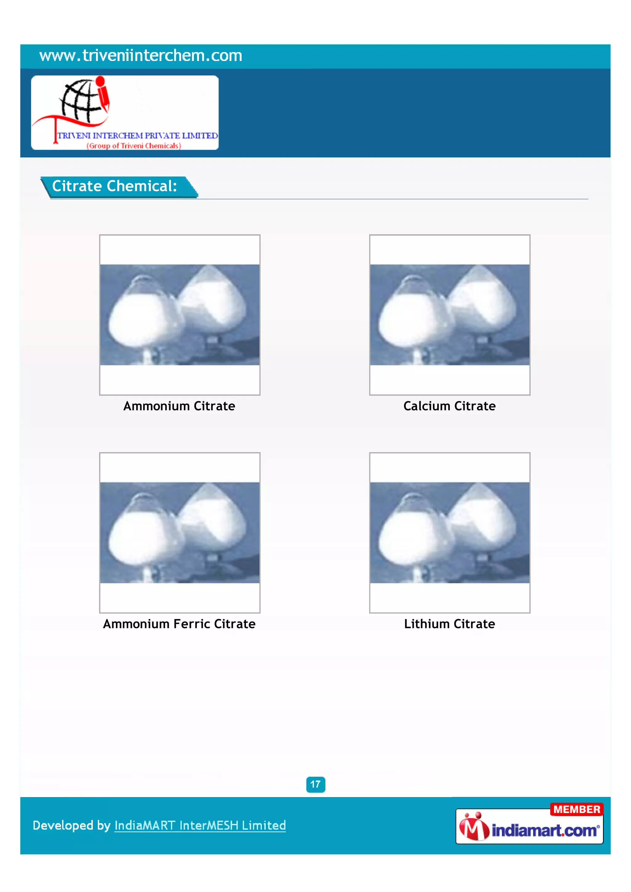 Triveni Interchem Pvt. Ltd. ( Group Of Triveni Chemicals), Vapi, Potassium Bifluoride | PDF ...