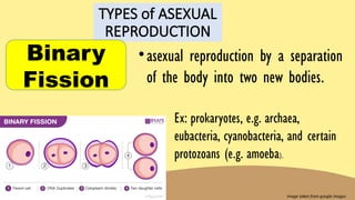 The trivia of life science includes science questions biology ...