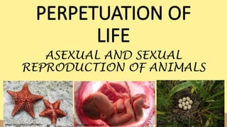 The trivia of life science includes science questions biology ...