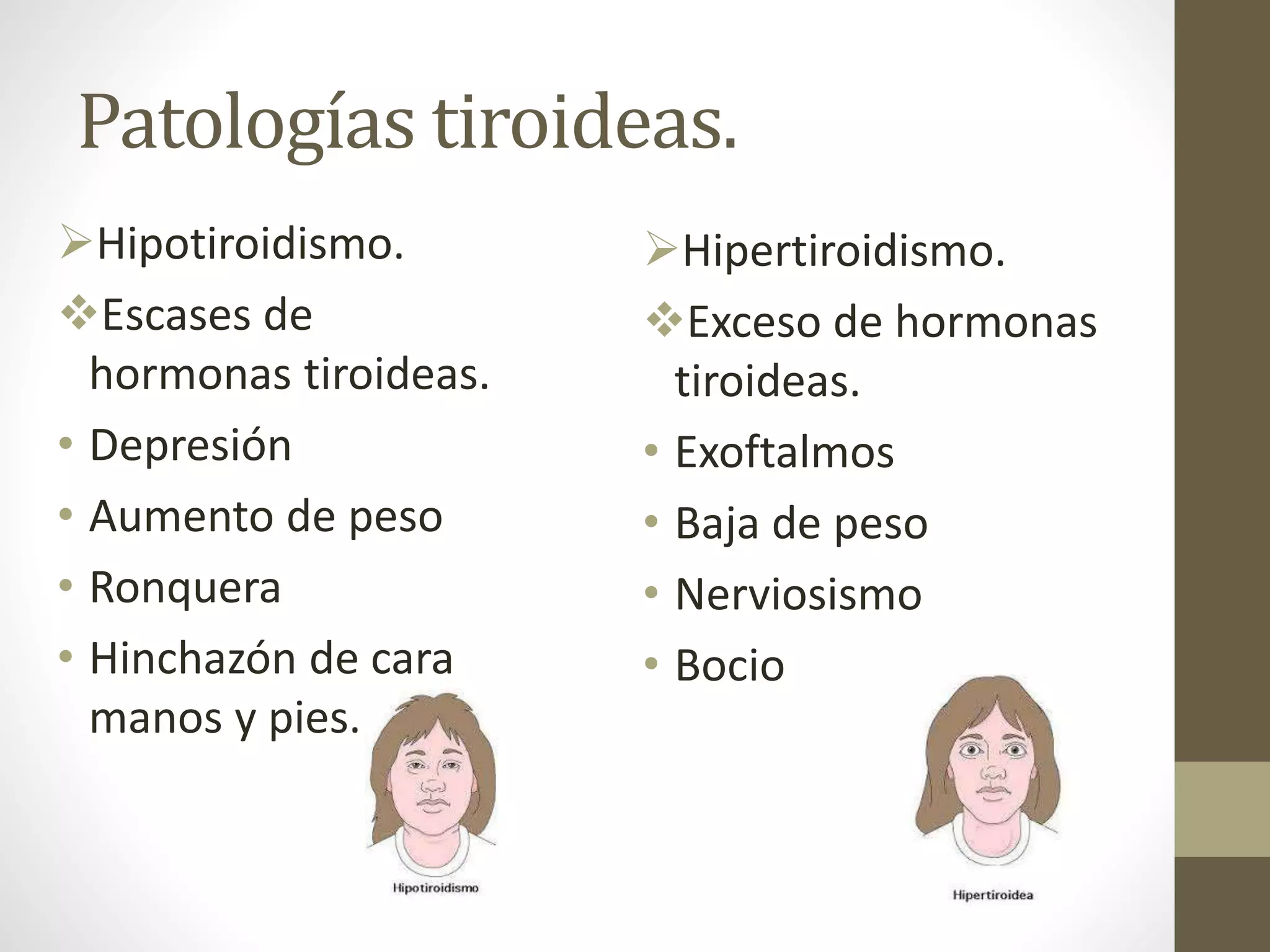 Triyodotironina (t3) y tiroxina (t4 | PPT