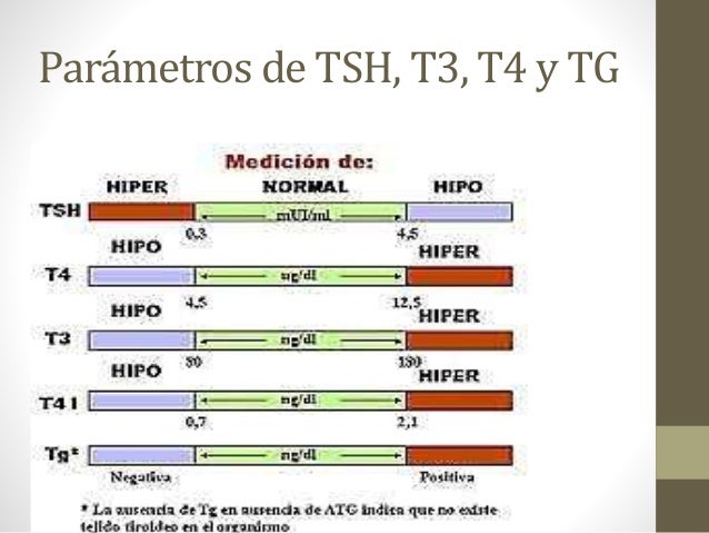 Triyodotironina (t3) y tiroxina (t4