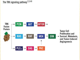 Trk inhibitors | PPTX
