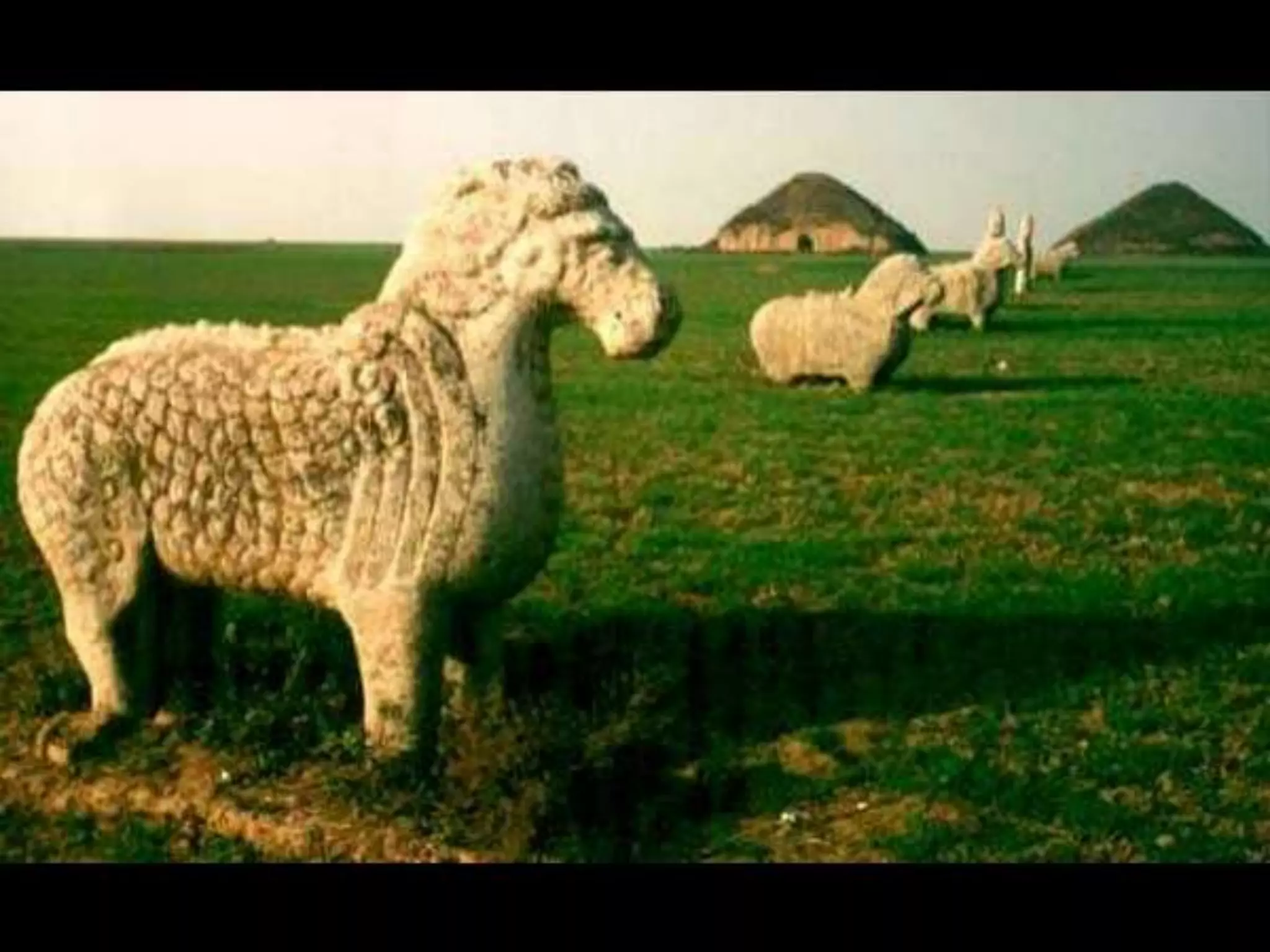 Türkish pyramids will change to the history | PPTX | Death, Injury, or ...