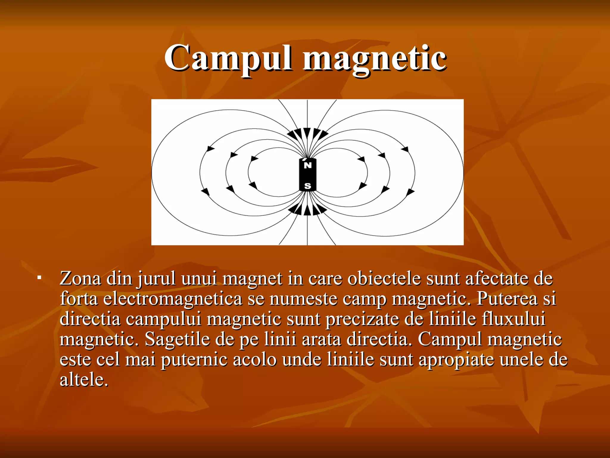 TăRîţă Marius Ilie Magnetismul șI Electromagnetismul | PPT